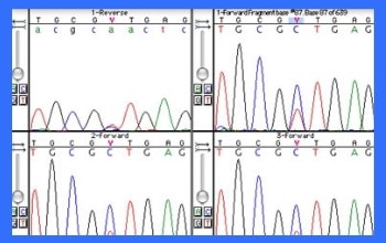 Sequencher软件下载 - DNA和蛋白质序列分析软件最新版 | 生物信息学工具 - 数据分析网—综合数据分析服务平台
