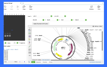 SnapGene软件下载 - 分子生物学分析工具最新版 | DNA序列设计 - 智合数方—综合数据分析服务平台
