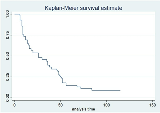 Stata生存分析操作讲解—零基础入门教程